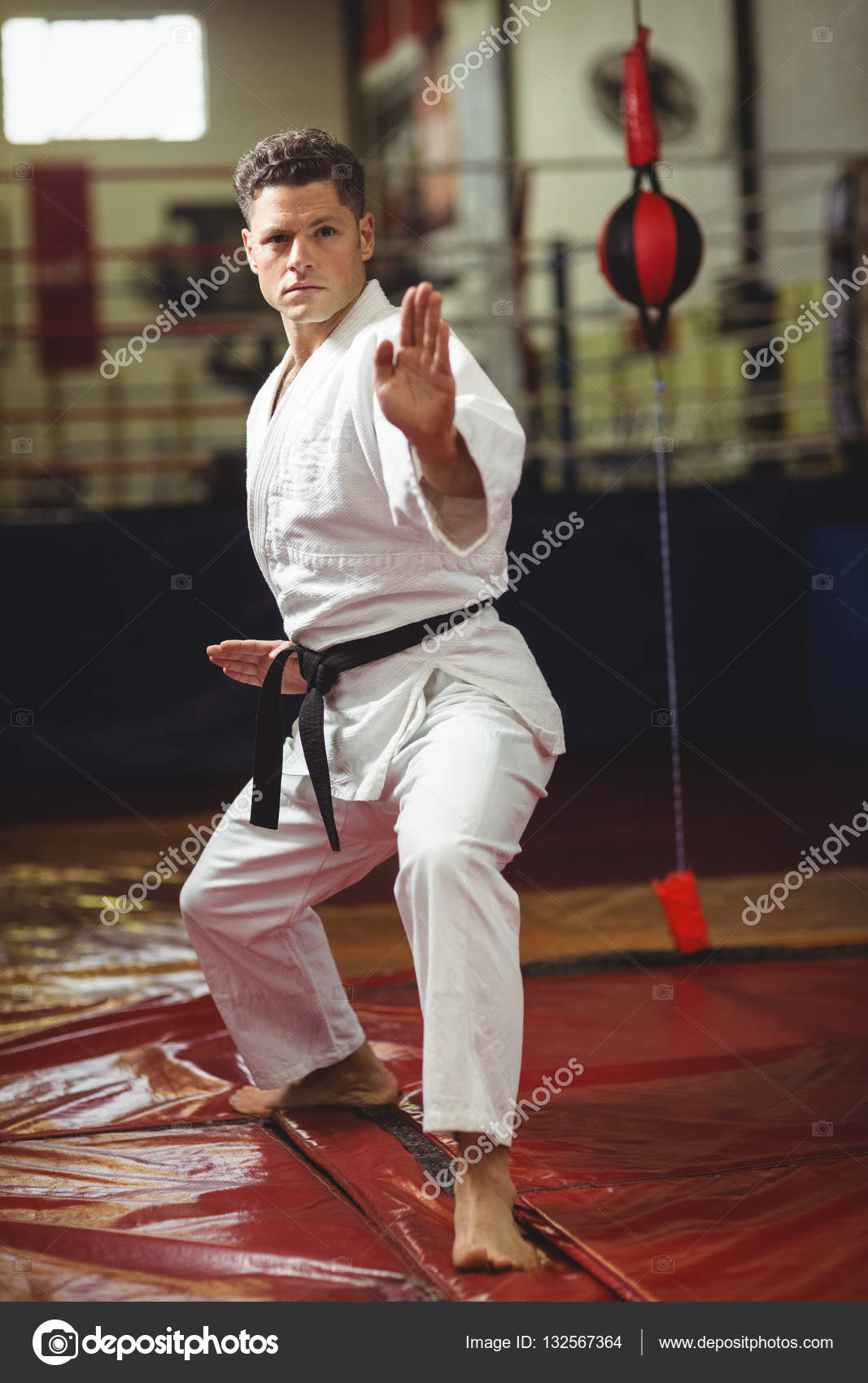 Karate player performing karate stance — Stock Photo © Wavebreakmedia ...