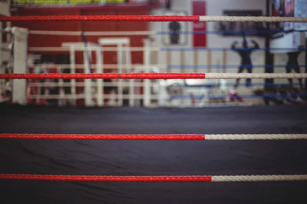 Boxing ring rope Stock Photos, Royalty Free Boxing ring rope Images ...
