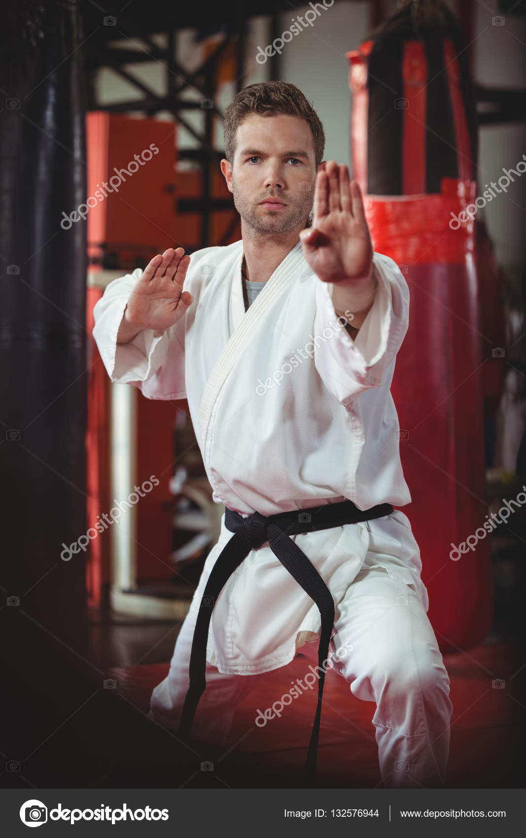 Goju Ryu Karate Stances | ppgbbe.intranet.biologia.ufrj.br