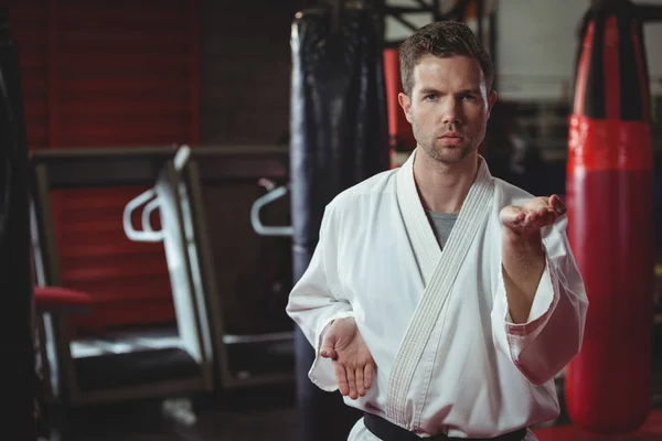 Female karate player performing karate stance — Stock Photo ...