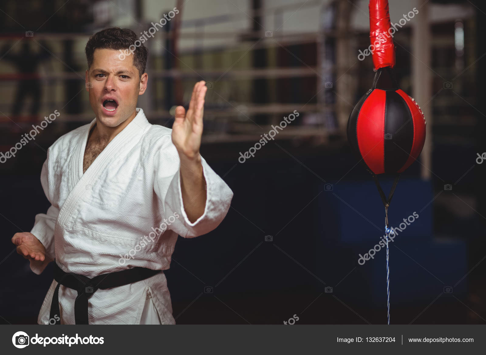 Karate player performing karate stance — Stock Photo © Wavebreakmedia ...
