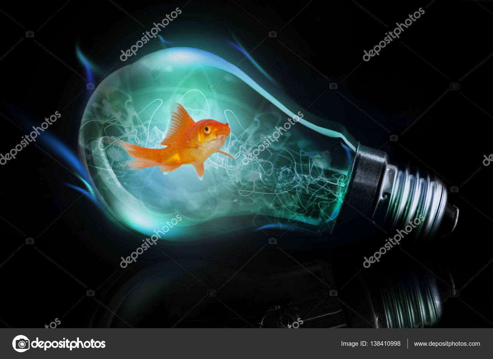Fish swimming against clear light bulb — Stock Photo © Wavebreakmedia ...