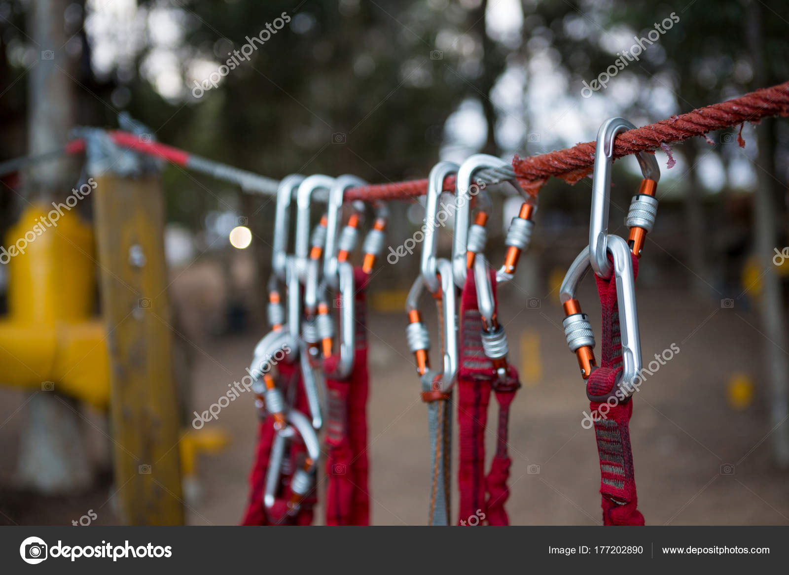 Harnesses hanging on rope in the forest — Stock Photo © Wavebreakmedia ...