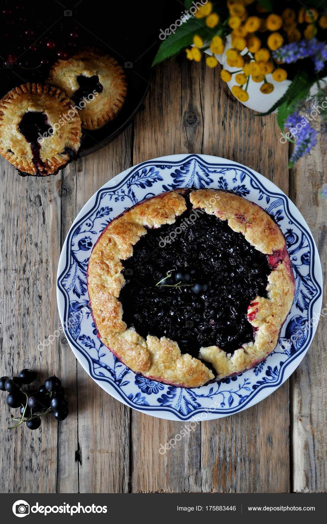 Currant Pie Galetta Black Currant — Stock Photo © KrotovDmitrii #175883446