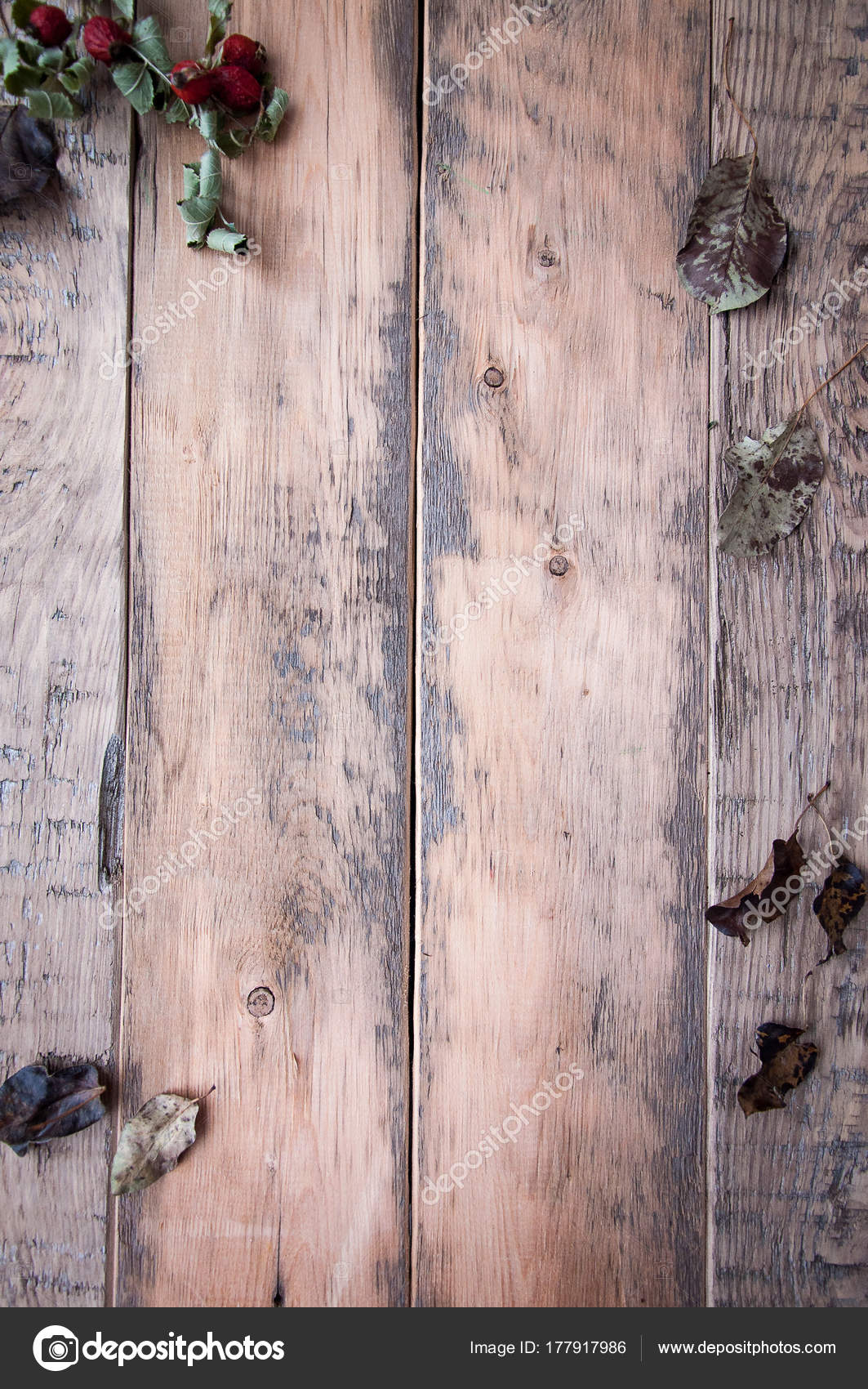 Solid Wood Background Texture Color Brown Light Stock Photo by ...