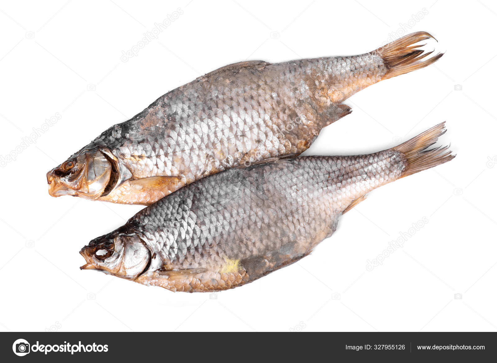 Rotten dried fish Stock Photo by ©igorkovalcuk 327955126