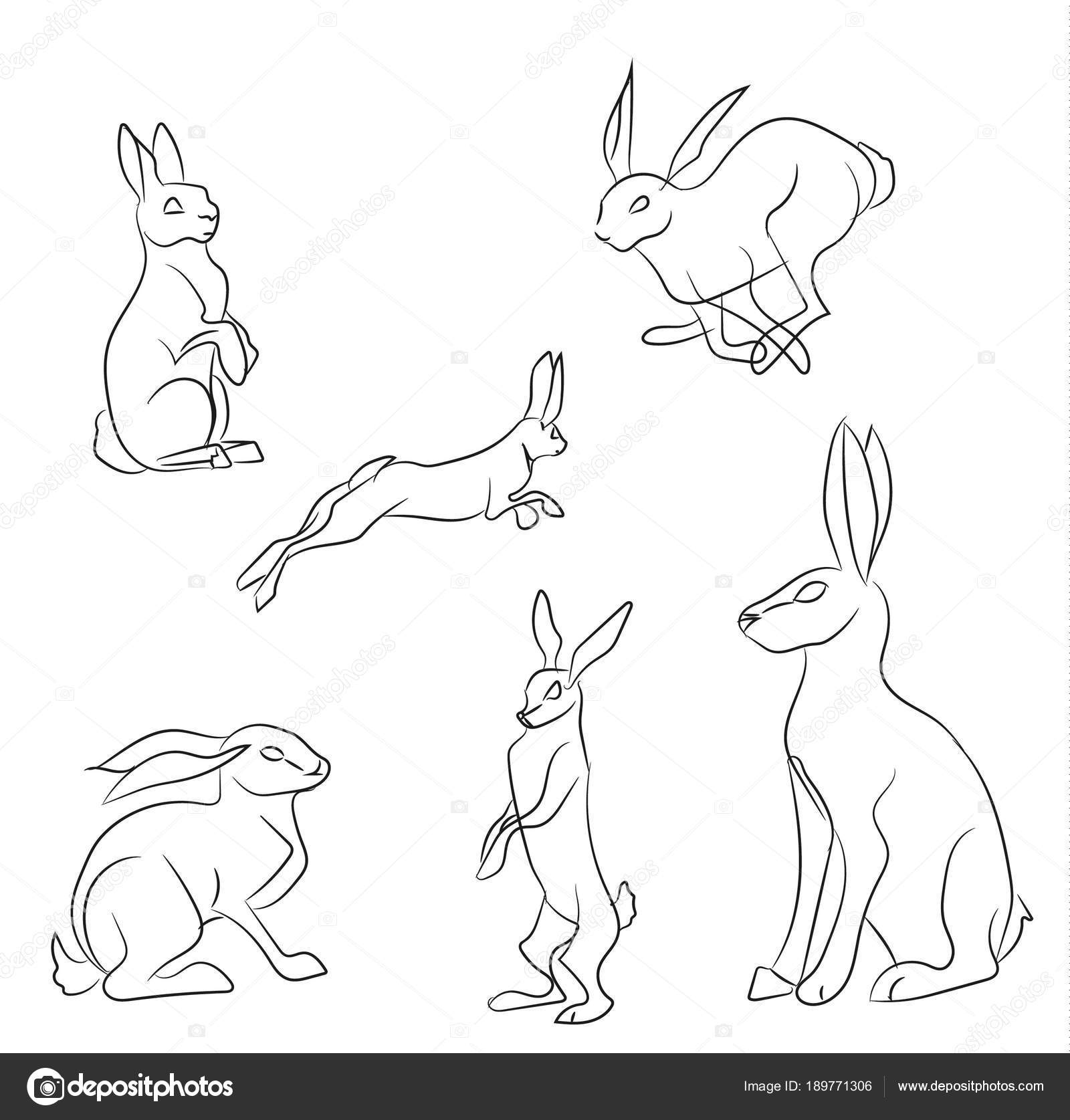 Rabbits with lines, vector Stock Vector by ©A.Nestr 189771306