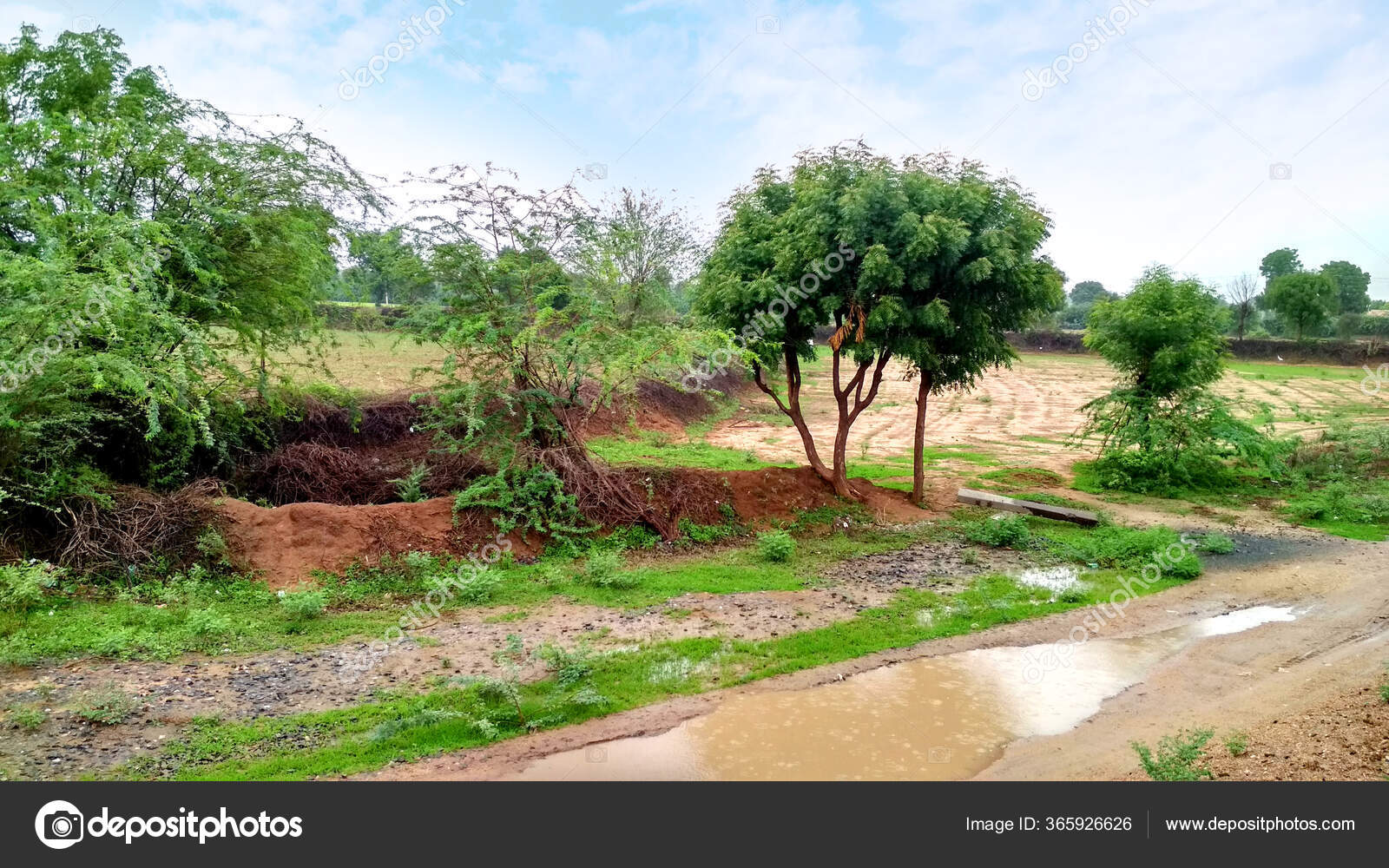 Beautiful View Railway Track Greenery Train Window — Stock Photo ...