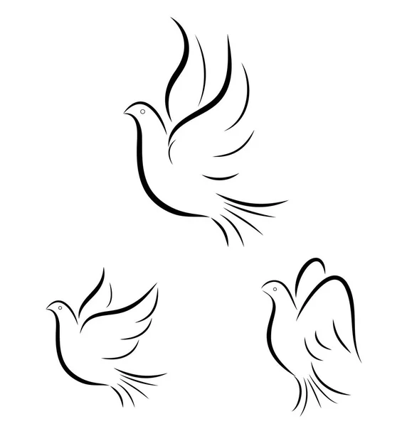 13,207,755 Infinity symbol birds Vector Images | Depositphotos