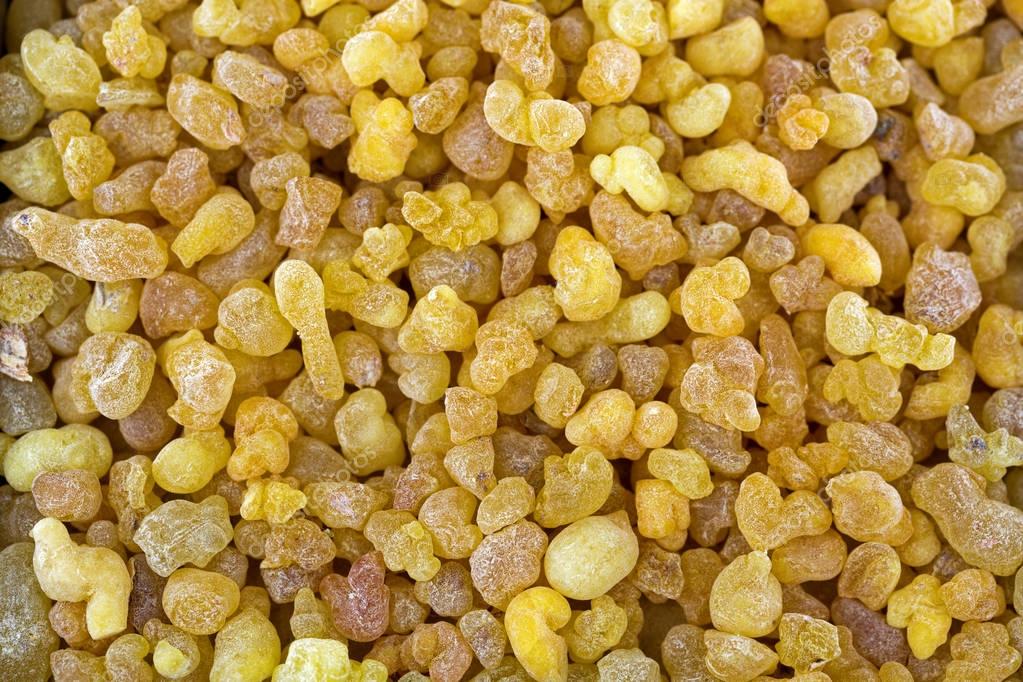 Aromatic yellow resin gum incense from Sudanese Frankincense tree ...
