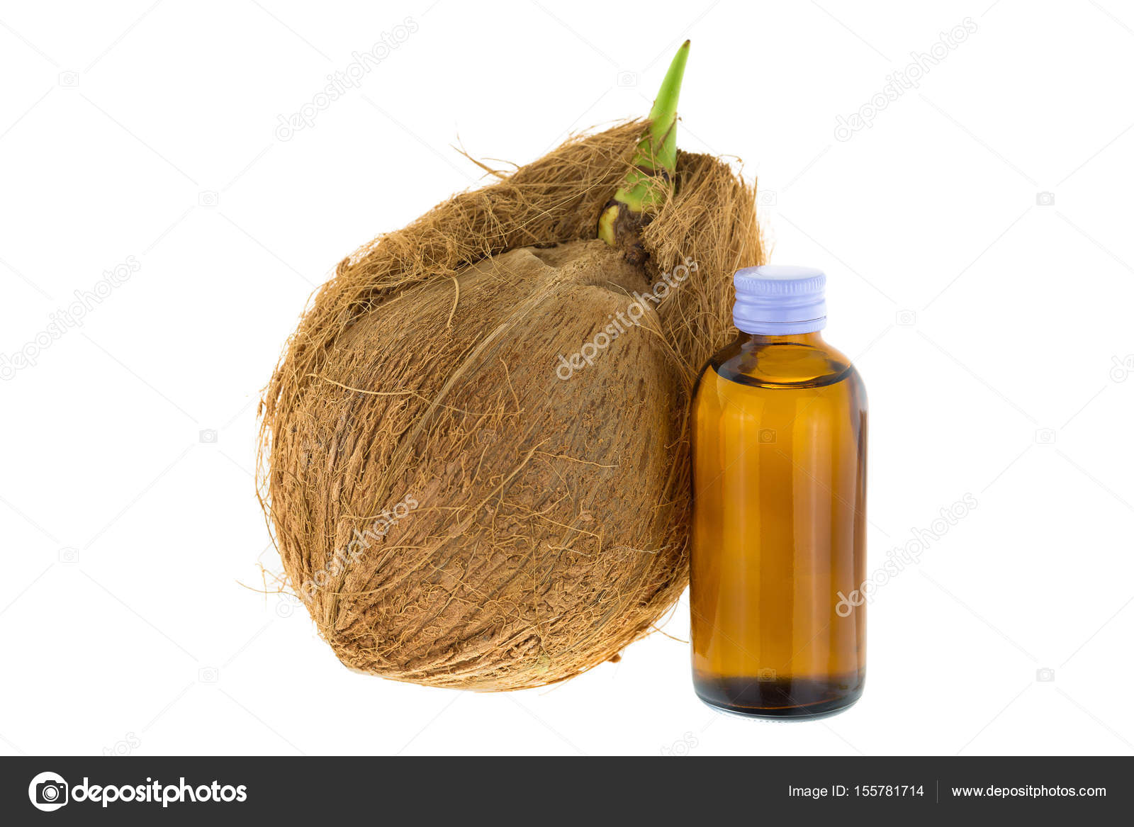 Bottle of Cold pressed coconut oil next to old mature raw coconut shell ...