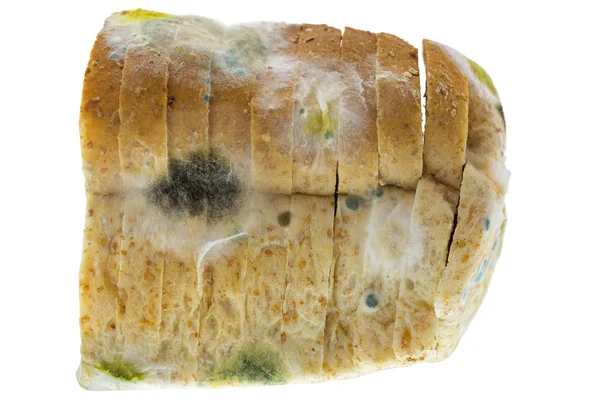 ᐈ Moldy bread stock pictures, Royalty Free moldy bread images ...