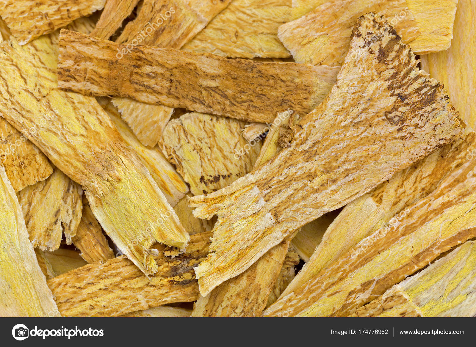 Dried Mongolian milkvetch, known as huang q used in traditional Chinese ...