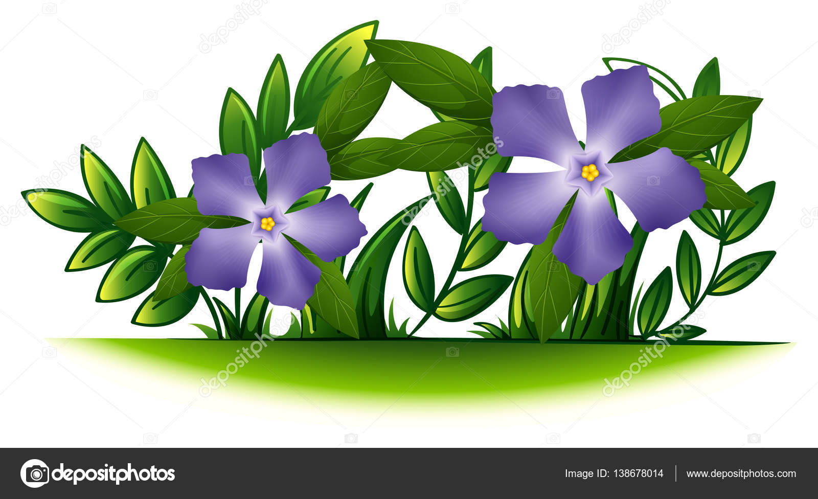 Periwinkle Flower Clipart Border