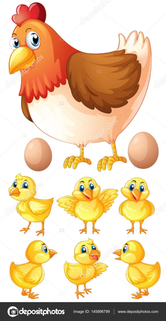Hen and six chicks Stock Vector Image by ©interactimages #145896799
