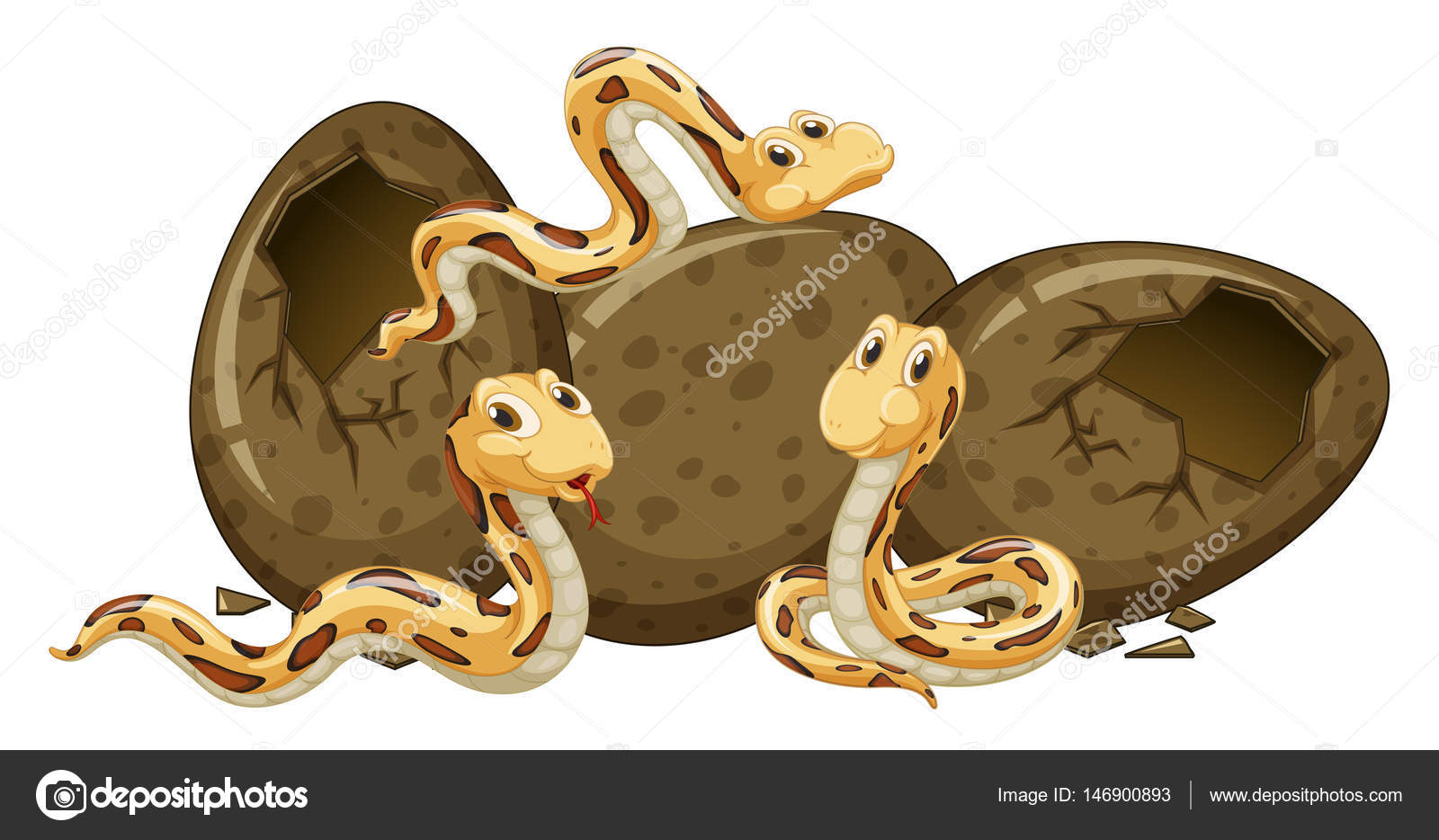 Three baby snakes hatching eggs Stock Vector by ©interactimages 146900893