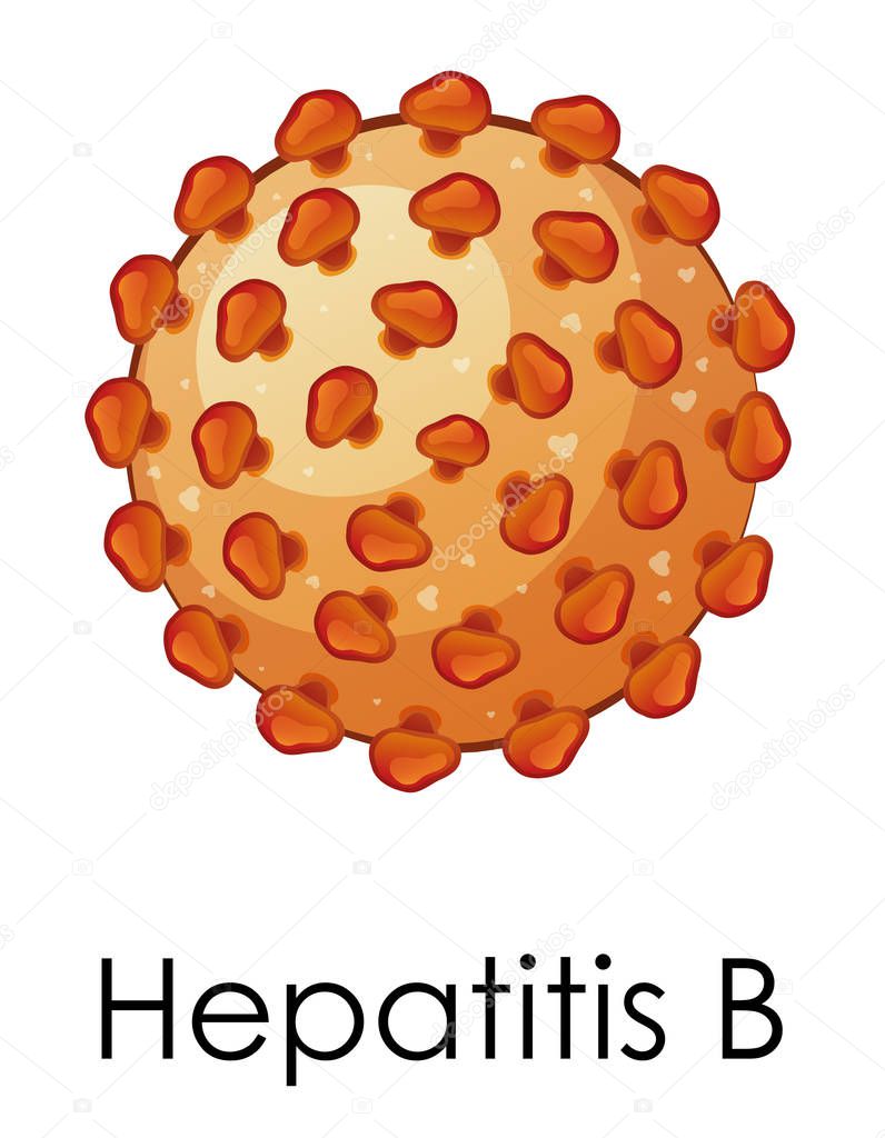 Diagram showing hepatitis B virus — Stock Vector © interactimages ...