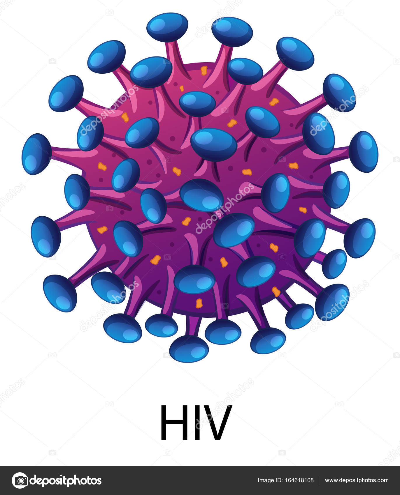 Diagrama de primer plano del virus del VIH vector, gráfico vectorial ...
