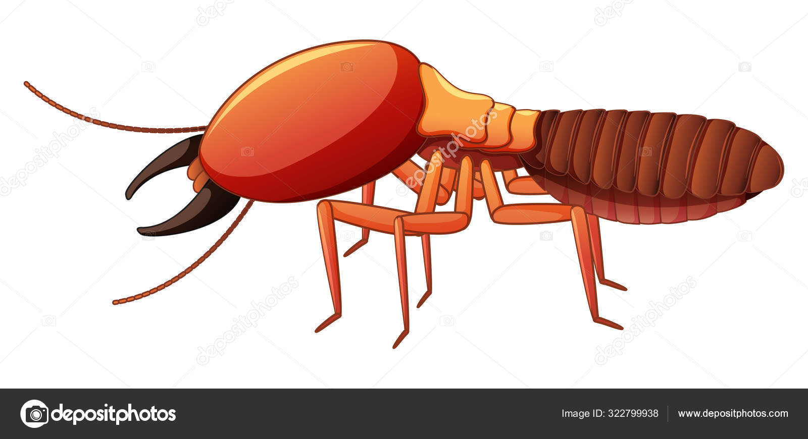 Termitas sobre fondo blanco Vector de stock por ©interactimages 322799938