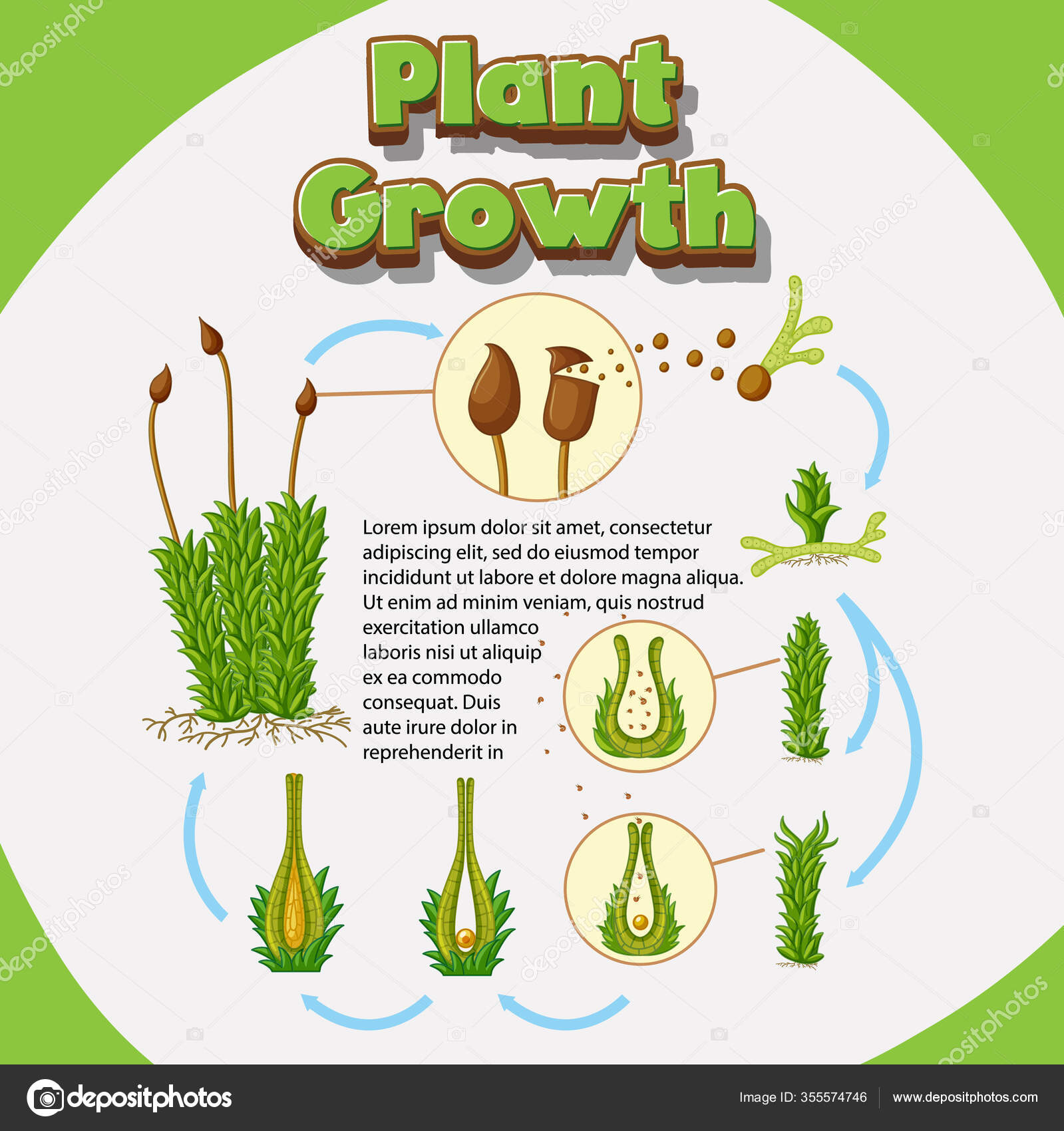 Diagram Showing How Plants Grow Seeds Illustration Stock Vector by ...