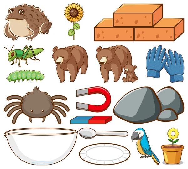 Large Set Different Animals Other Objects White Background Illustration ...