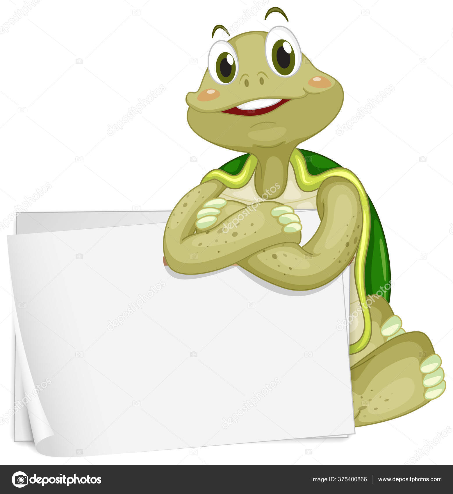 Blank Sign Template Green Turtle White Background Illustration Stock ...