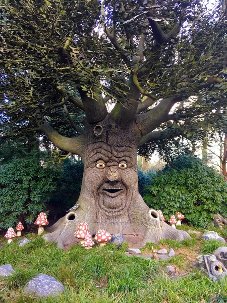 Talking tree with happy face Stock Photo by ©CreativeNature 103045396