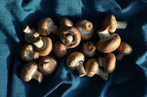 Champignons de champagne Stock Photos, Royalty Free Champignons de ...