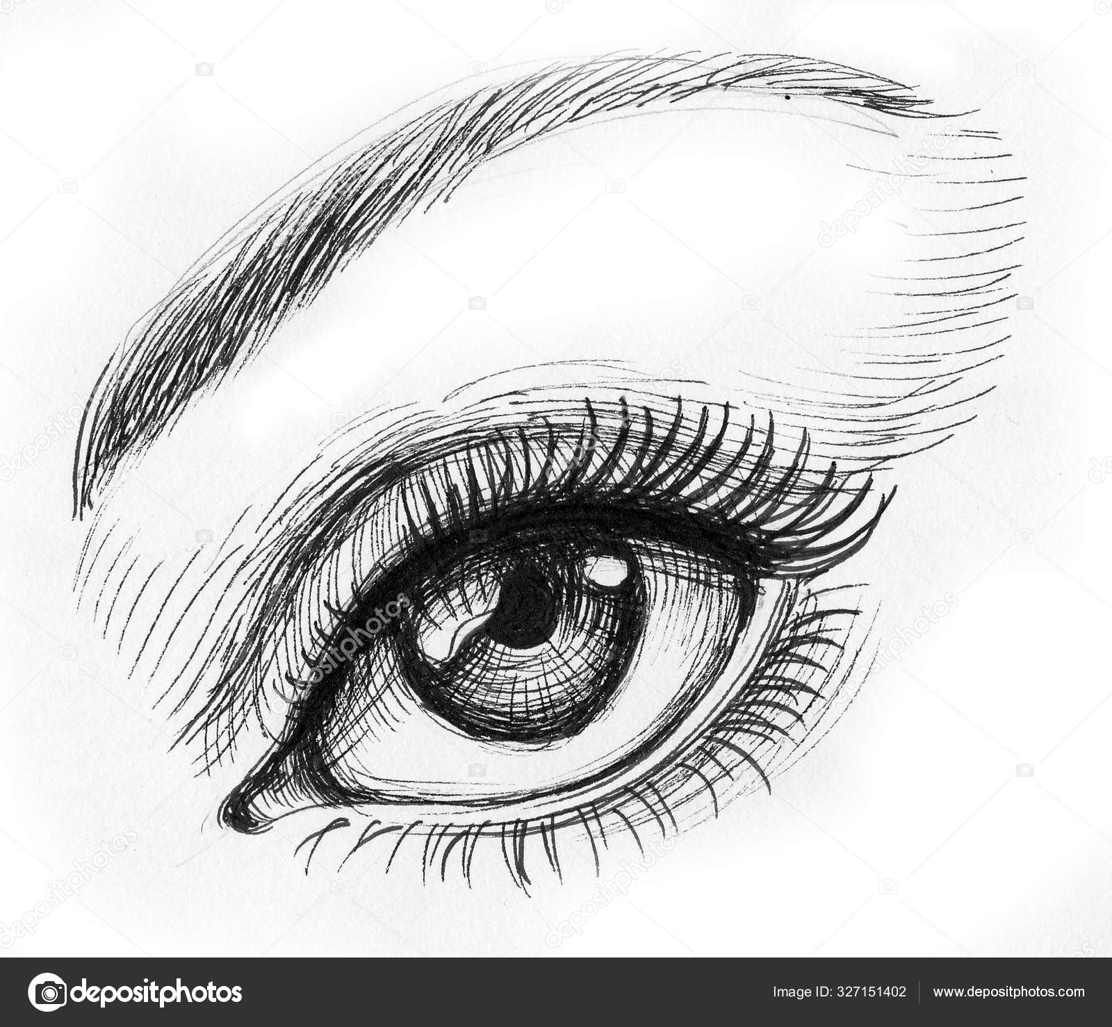 Beautiful Female Eye Ink Black White Drawing Stock Illustration by ...