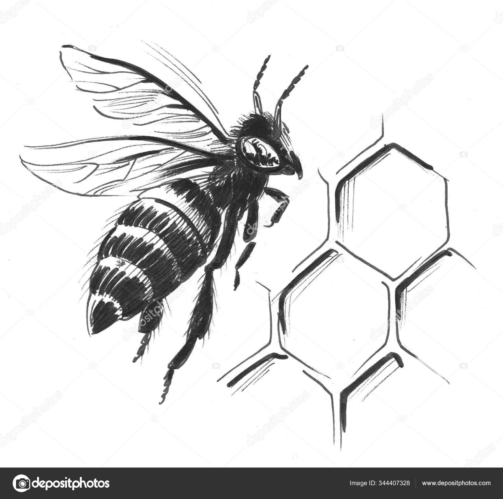 Flying Bee Combs Ink Black White Drawing — Stock Photo © alexblacksea ...