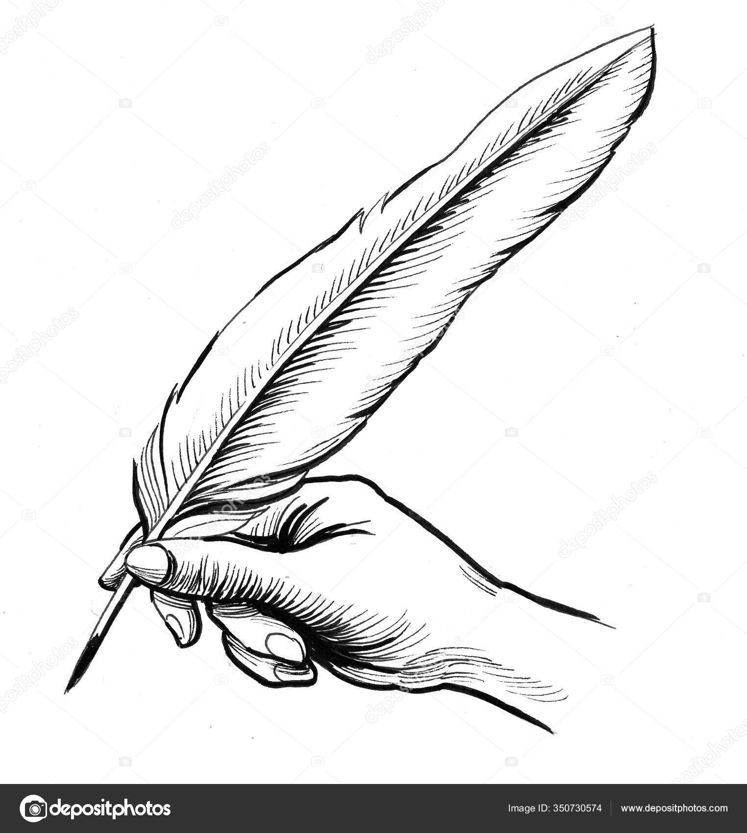 Hand Writing Quill Pen Ink Black White Drawing Stock Illustration by ...
