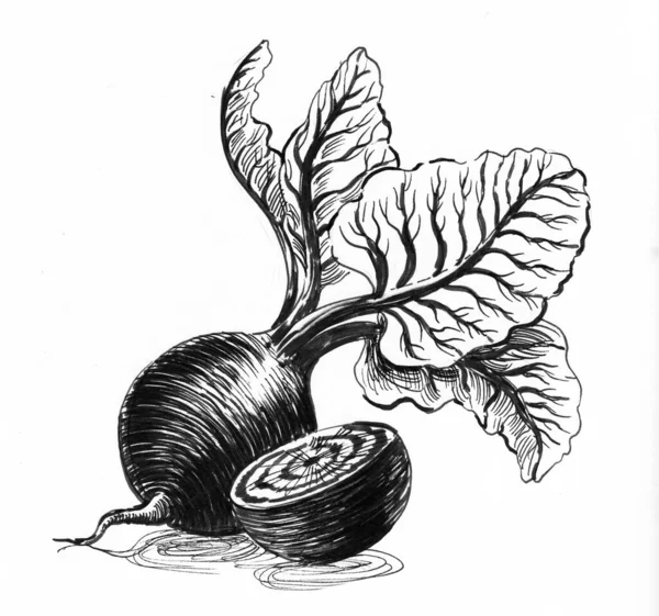 Beet root drawing Stock Photos, Royalty Free Beet root drawing Images ...