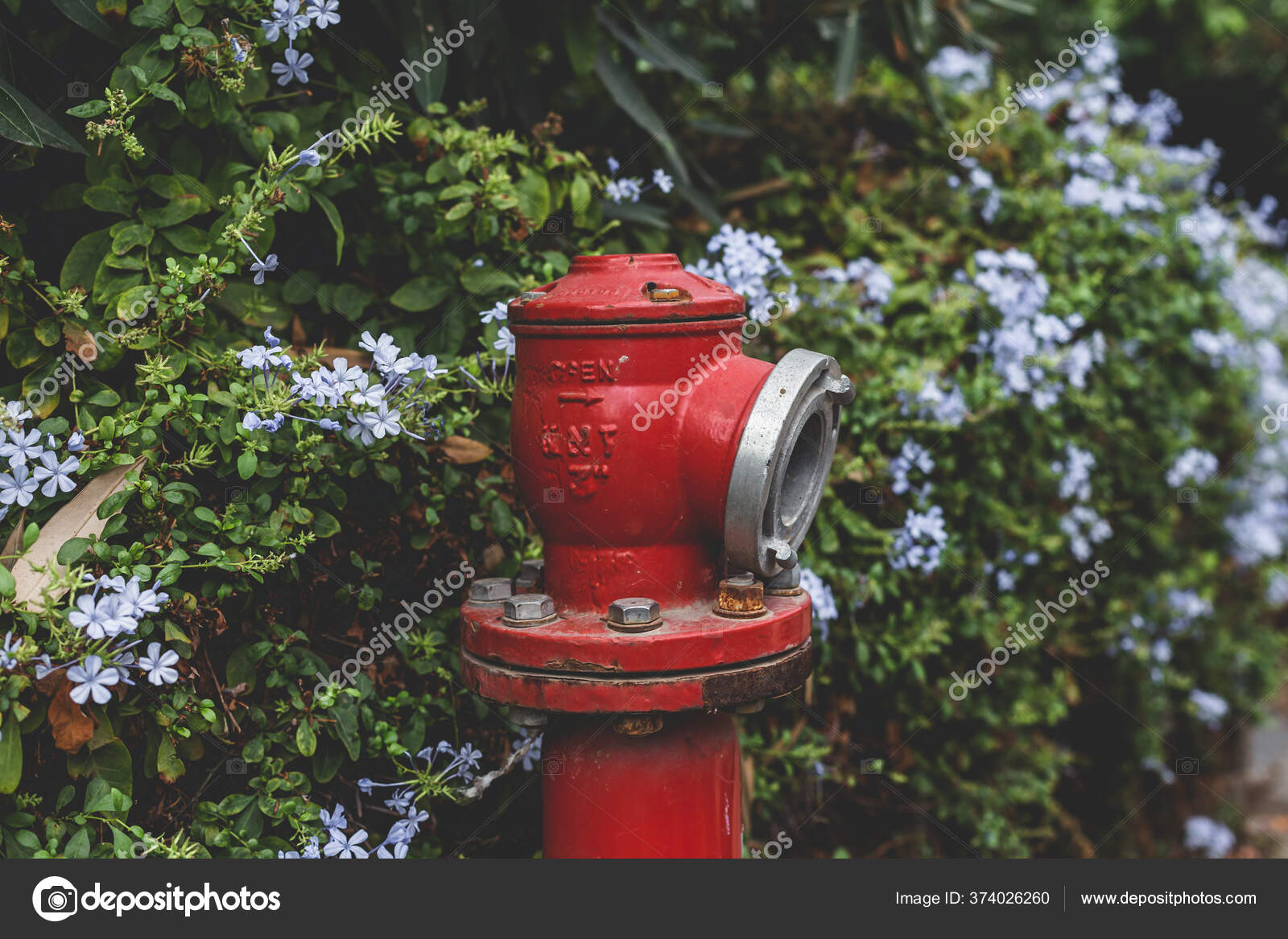 Fire Hydrant Street Tel Aviv Israel Fire Hydrant Connection Point ...