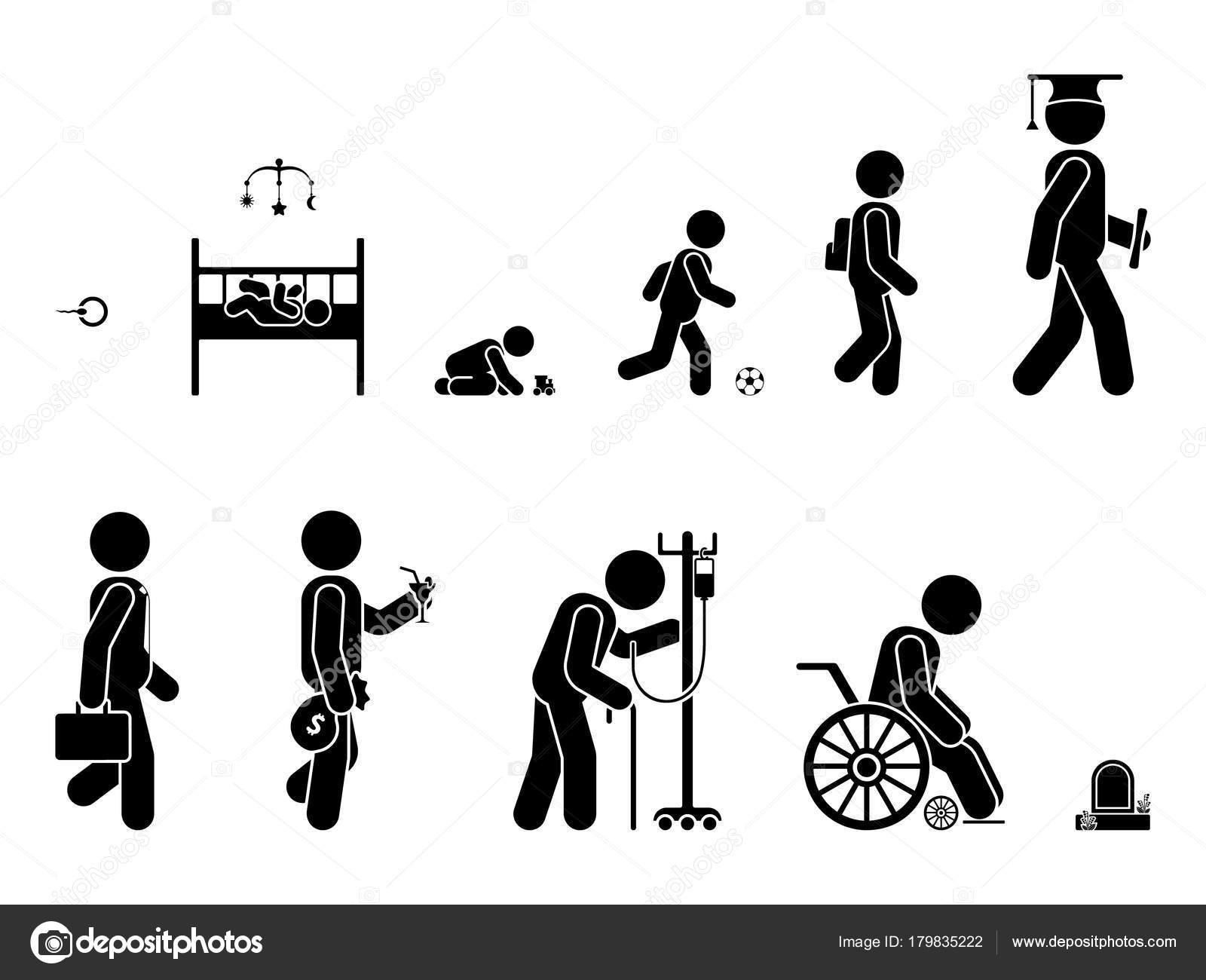 Life Cycle Person's Growing Birth Death Living Path Pictogram Vector ...
