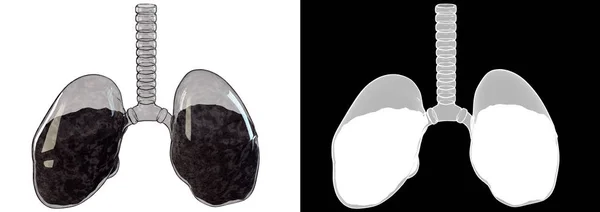 Lung table Stock Photos, Royalty Free Lung table Images | Depositphotos