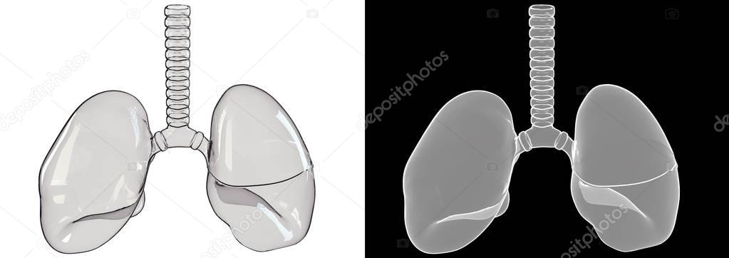 Lungs alveoli Vector Art Stock Images | Depositphotos