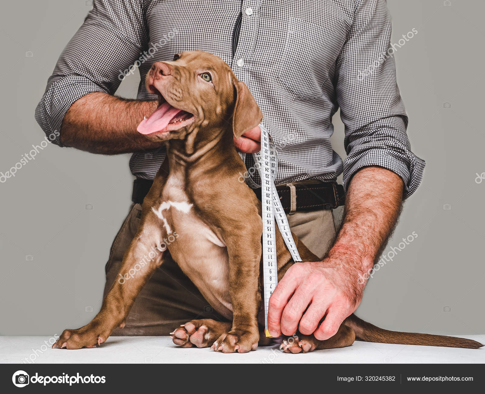 Pretty, tender puppy and his caring owner Stock Photo by ©Svetikova-v ...