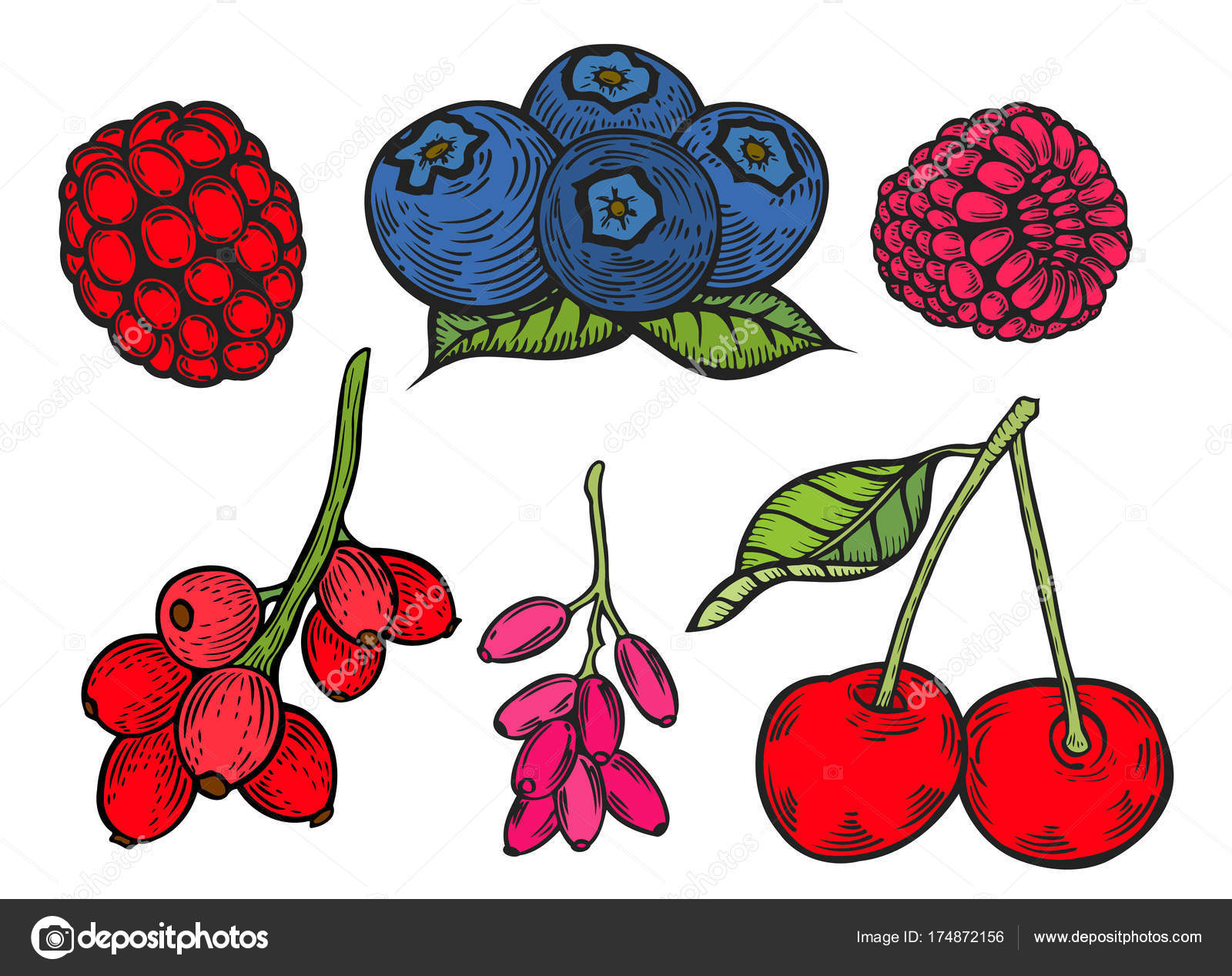 Berry color set. Stock Vector Image by ©larysarty.gmail.com #174872156