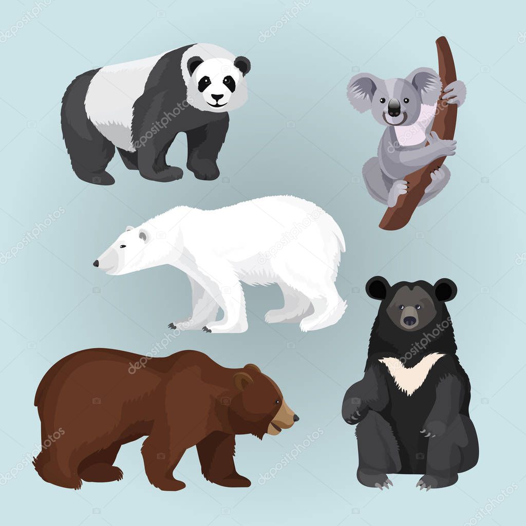 Conjunto de osos de pie, sentados y arrastrándose aislados en azul. 2022