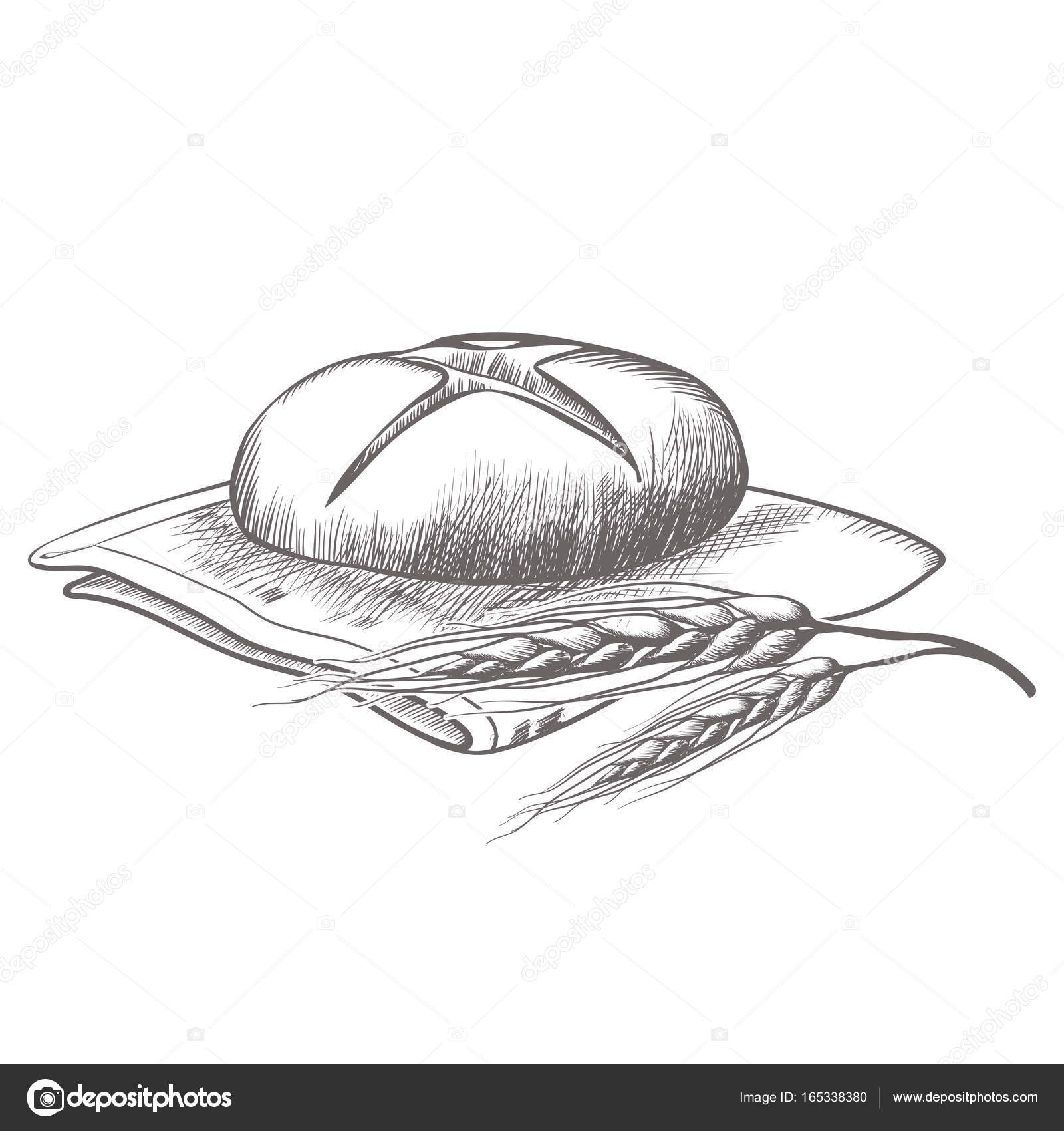 Hand drawing of round bread isolated illustration on white Stock Vector ...