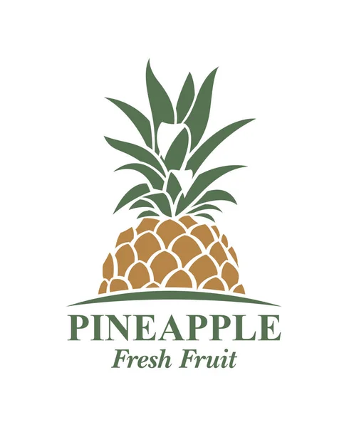 26,914,659 vectores de Logo piña, imágenes vectoriales | Depositphotos