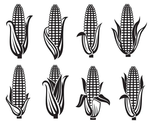 100,000 Corn maps Vector Images | Depositphotos