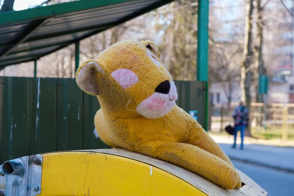 ᐈ Sad lion king stock images, Royalty Free sad lion pictures | download ...