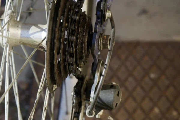 Rear wheel of bicycle — Stock Photo © RomanPashkovsky #126064204