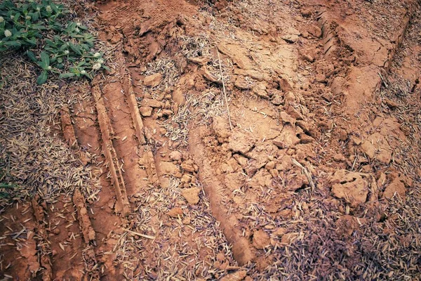 Soil recovery Stock Photos, Royalty Free Soil recovery Images ...