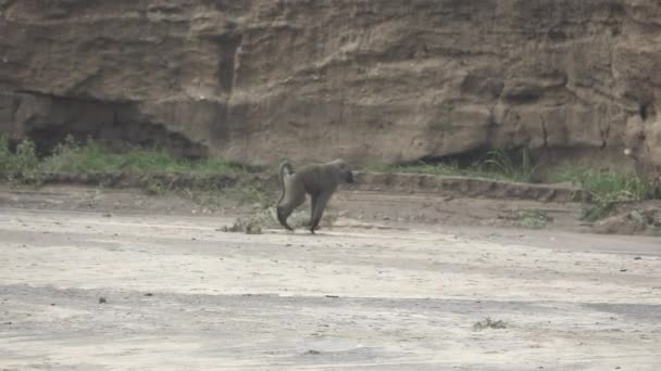 1,329 Slog Videos, Royalty-free Stock Slog Footage | Depositphotos