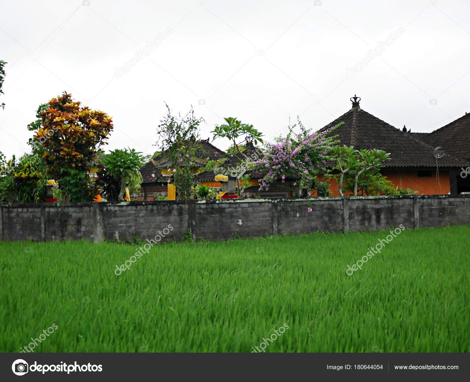 Beautiful Nature Bali Green Landscape — Stock Photo © TeamRich #180644054