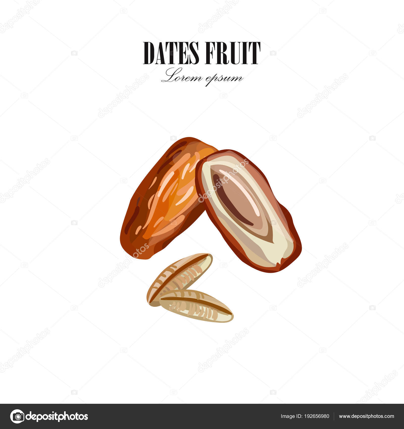 Dates with palm leaves on white background. Vector illustration ...