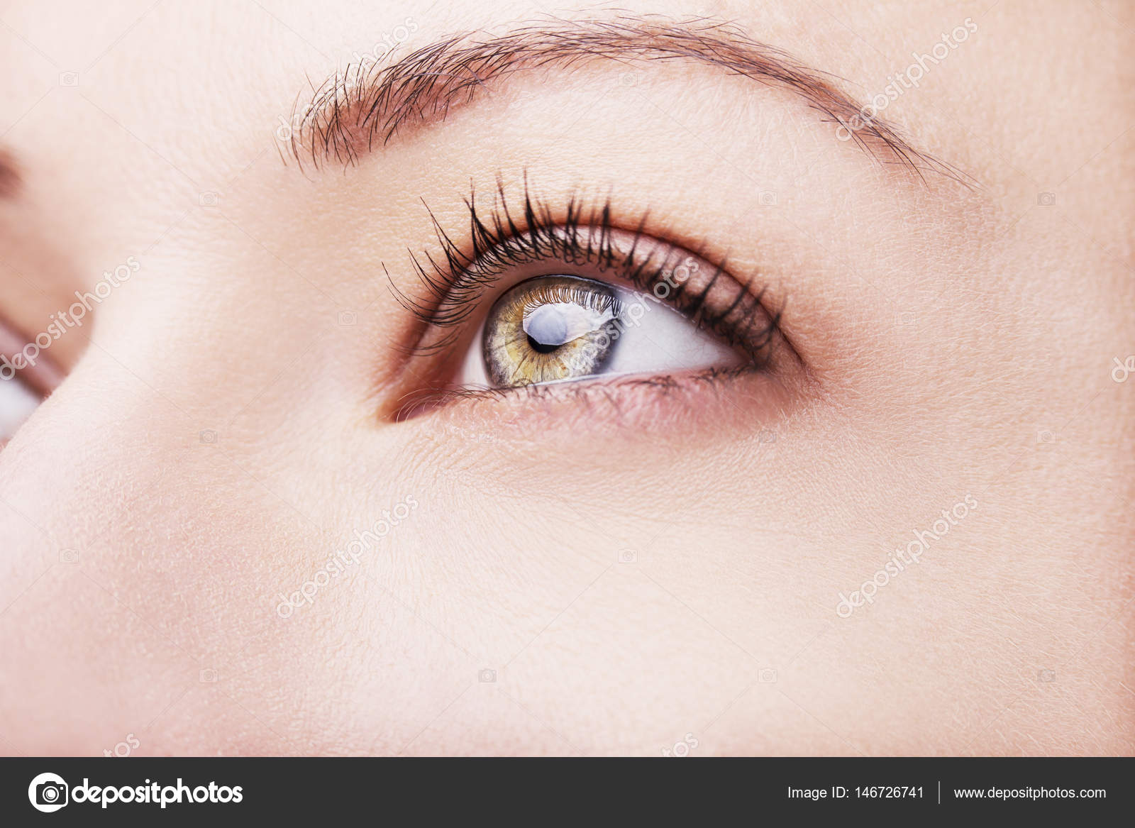 Fotos de Un hermoso ojo de mujer mirada perspicaz. Primer plano ...