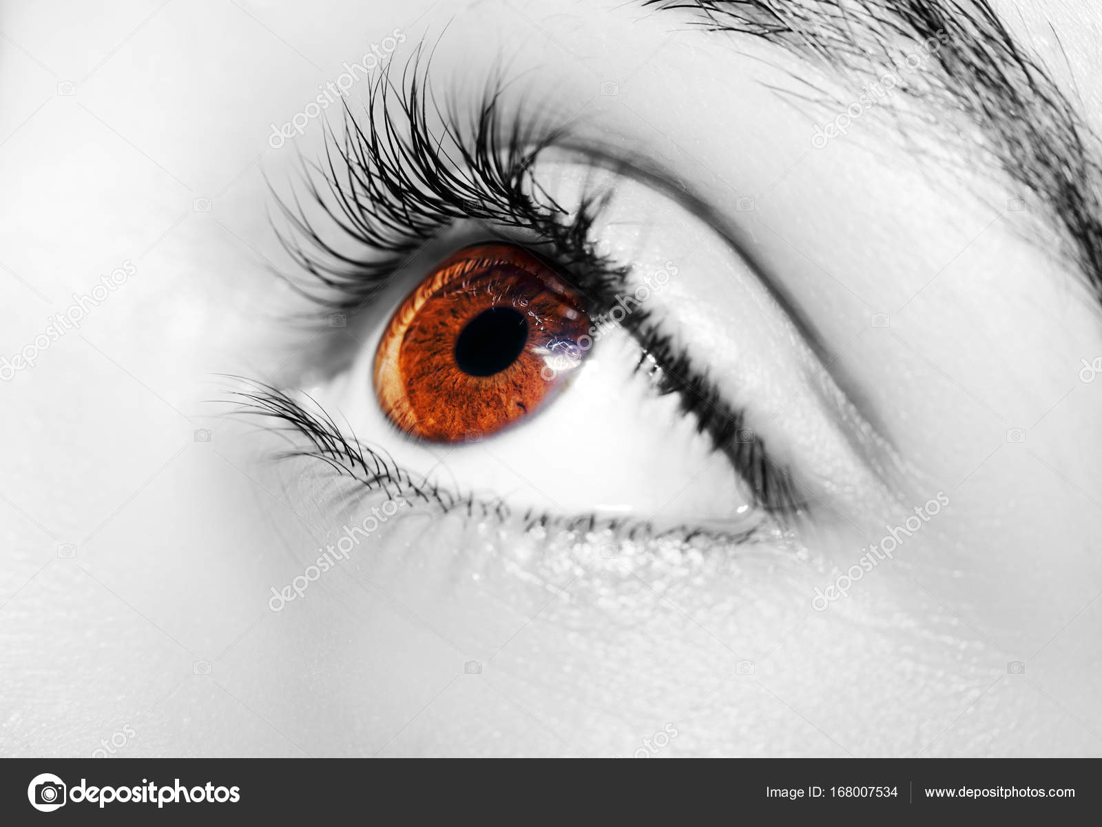 A beautiful insightful look woman's eye. — Stock Photo © Viculia #168007534